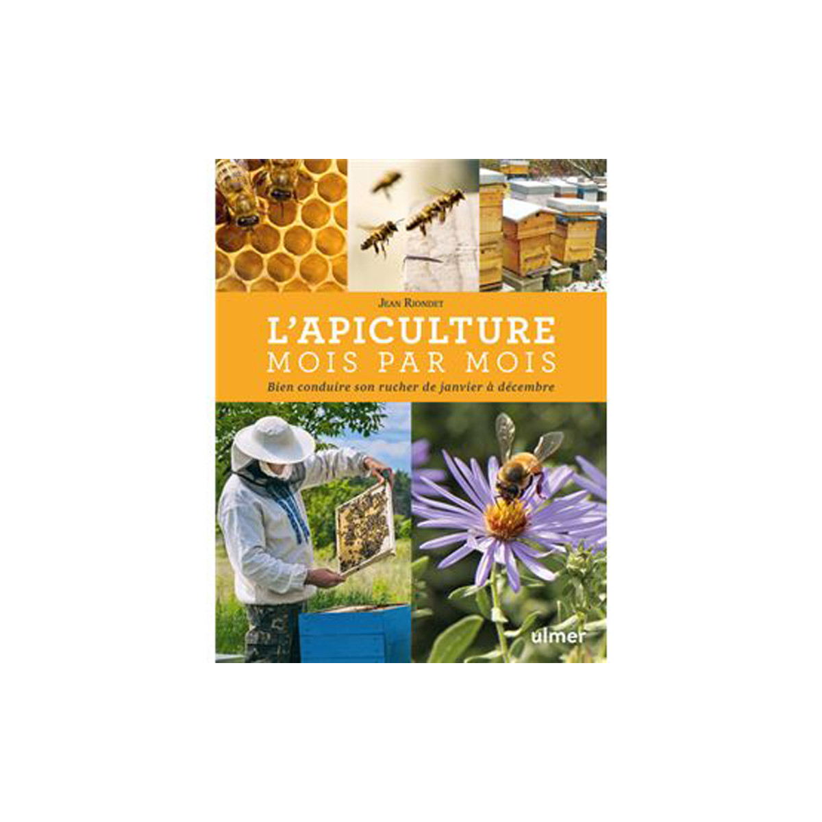 Découvrez les différentes saisons de l'apiculture