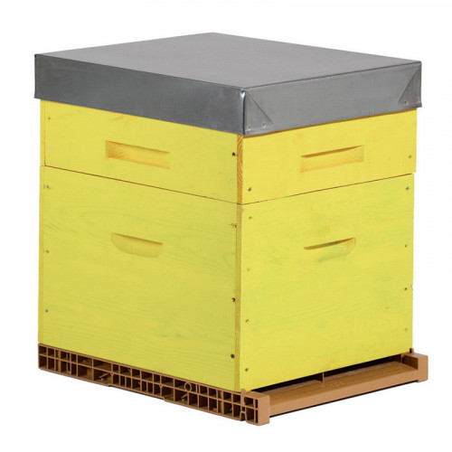 Ruche Dadant 10 cadres colorée + Hausse